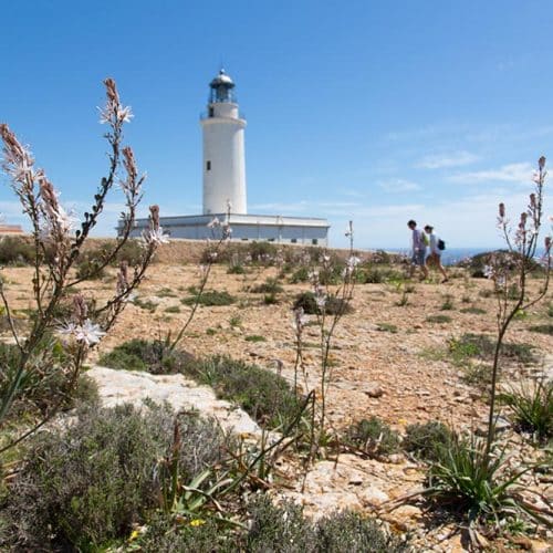 Faro de La Mola - Formentera - Como llegar, que ver, que hacer